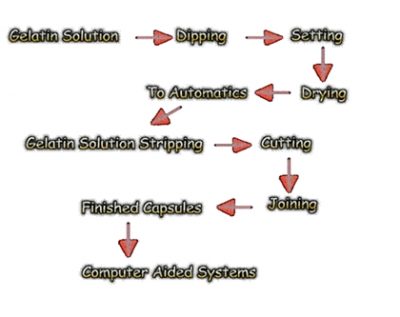 Hard Gelatin Capsule Step by Step Manufacturing Process